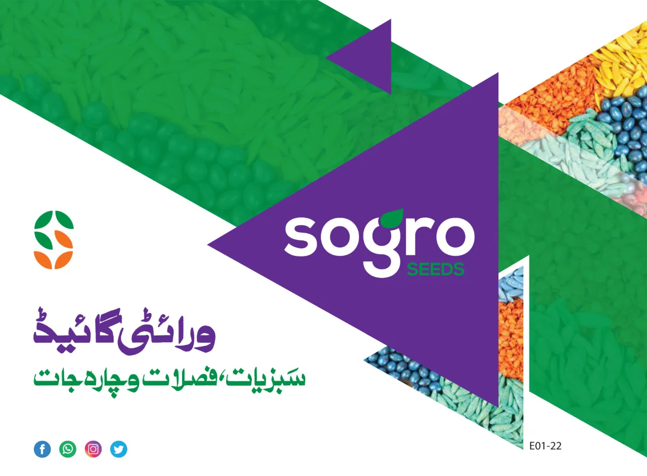 Sogro Seeds Variety Guide 2024 - Sogro Seeds